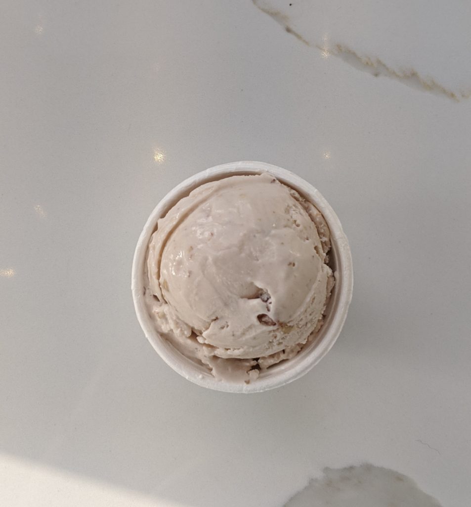 squirrel! | Higgles Artisan Ice Cream | Breckenridge, CO