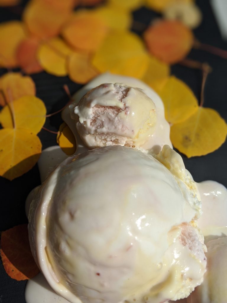 aspen leaves | Higgles Artisan Ice Cream | Breckenridge, CO