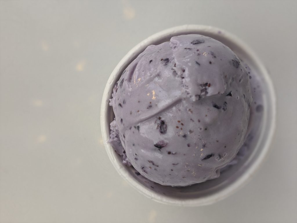 wild blueberry | Higgles Artisan Ice Cream | Breckenridge, CO